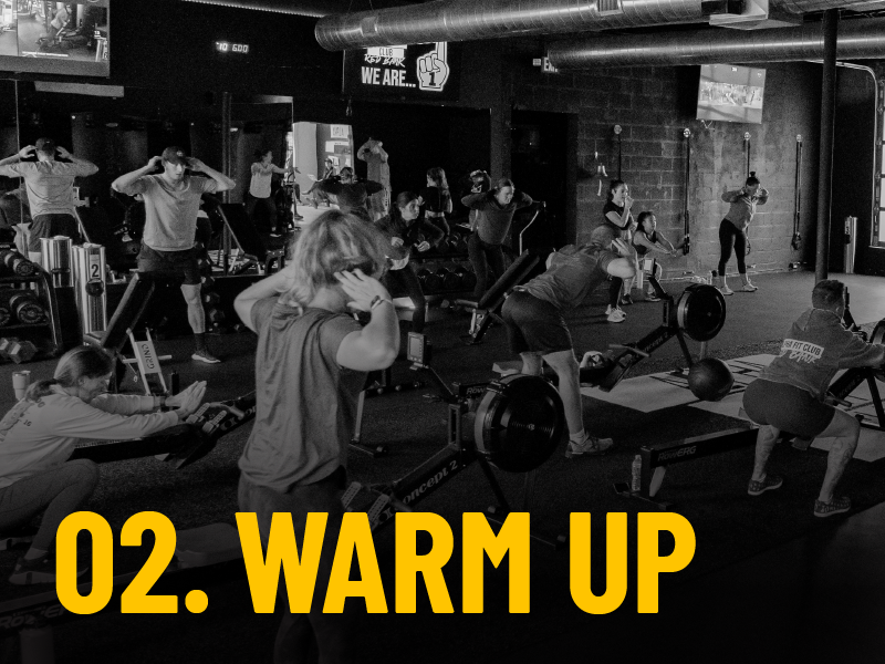 Wayne – AlphaFitClub